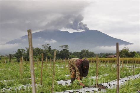 Erupsi Gunung Marapi Pendaki Meninggal Dunia Foto TribunNews