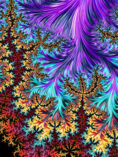 Gallery • Frax