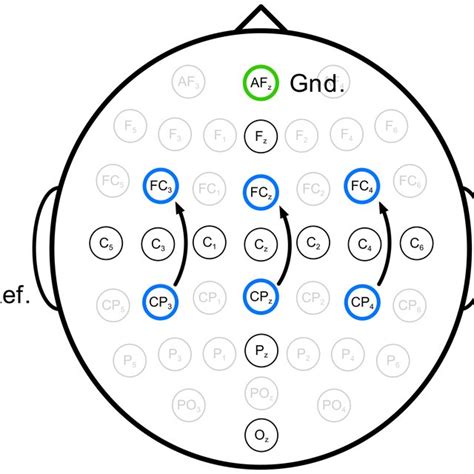 Recorded Scalp Electrode Positions The Three Bipolar Derivations