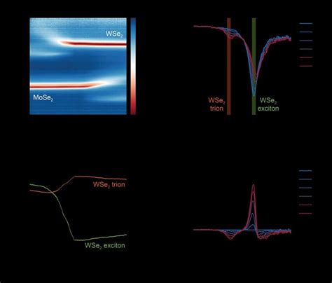 Figure S6 Estimation Of Transferred Hole Density In Wse2 A Download Scientific Diagram
