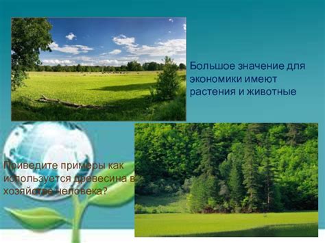 Природные богатства и труд людей основа экономики 3 класс презентация