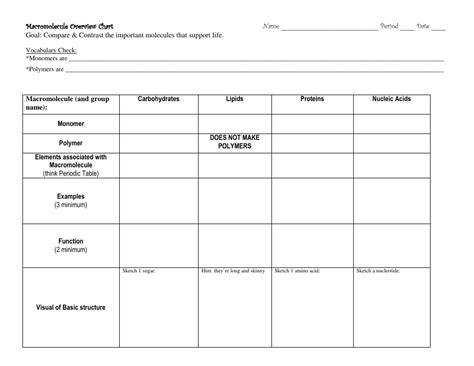 Macromolecule Overview Chart Worksheet Download Printable Pdf Templateroller