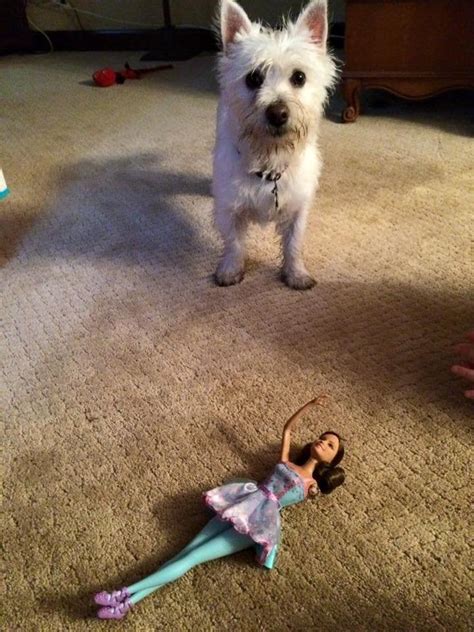 Barbie Gets A Prosthetic Arm Diy