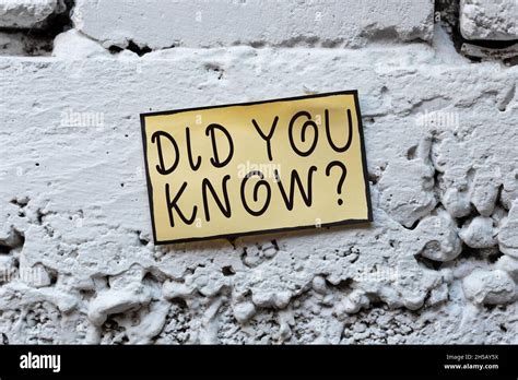 Handwriting Text Did You Know Question Business Overview When You Are Asking Someone If They