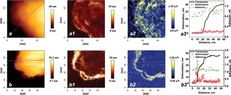 High‐resolution Topography Images Measured At The Edge Of A Single Fcc