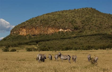 Hells Gate And Lake Naivasha Day Trip Us195 Gracepatt Ecotours Kenya