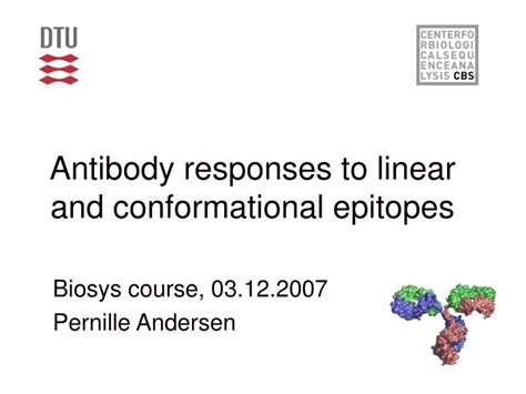 Ppt Antibody Responses To Linear And Conformational Epitopes