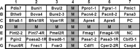 Layout Of Oligonucleotide Probes On The Array 0 7 By 0 7 Cm 7 By 7 Download Scientific