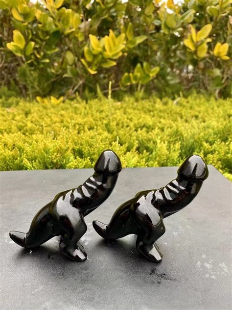 39 Natural Obsidian Crystal Dinosaur Peniscrystal Carvings Dinosaur