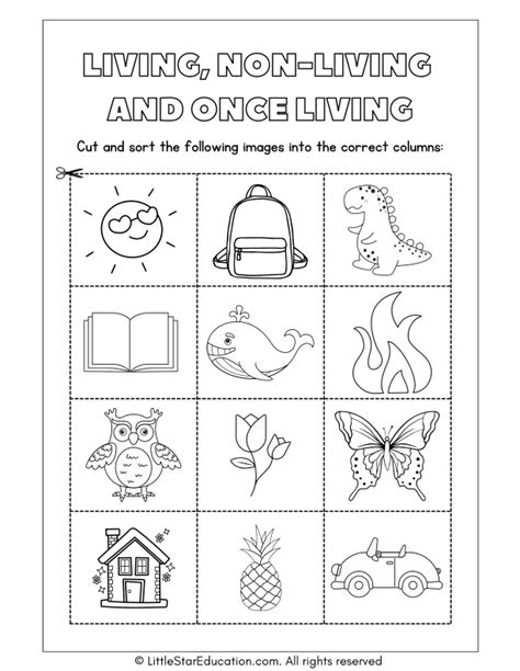 Living Non Living And Once Living Science Worksheet