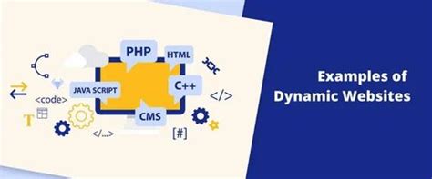 Dynamic Ecommerce Website Design At Best Price In Noida Id 2851923202930