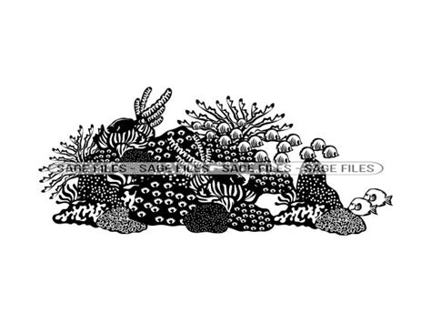 Coral Reef 2 Svg Coral Svg Ocean Svg Tropical Svg Coral Etsy India