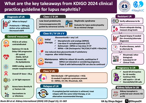 KDIGO 2024 Lupus Nephritis Guidelines Visual Abstract NephJC