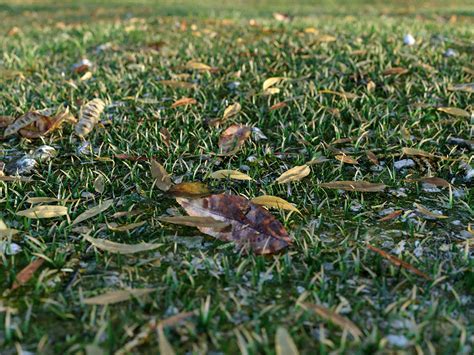 Lab Grass Pack On Behance