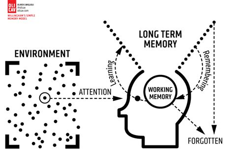 Neuroscience The Hobbolog