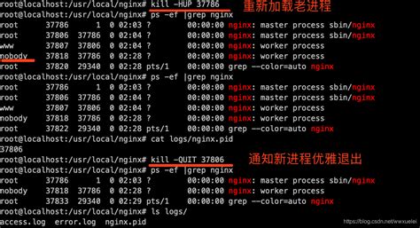 nginx之热部署，在线升级 execve failed while executing new binary process csdn博客