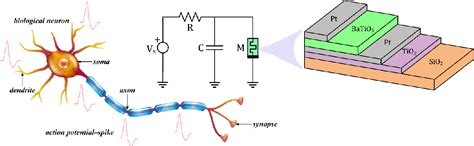Figure 2 From Volatile Memristor In Leaky Integrate And Fire Neurons