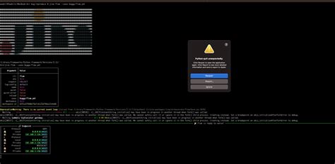 Environment Variable OBJC DISABLE INITIALIZE FORK SAFETY Not Set By