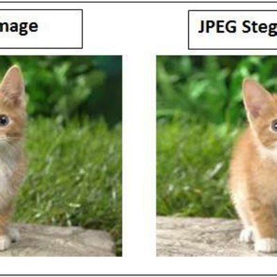 Hiding Secret Data In JPEG Image Download Scientific Diagram
