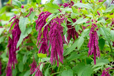 15 Mind Blowing Facts About Love Lies Bleeding