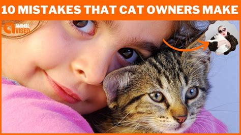 10 Most Dangerous Mistakes Cat Owners Make Avoid These And Keep Your