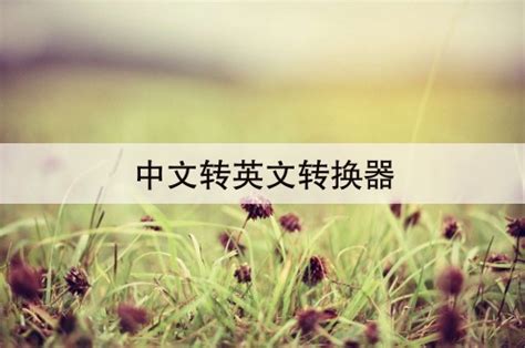 中文转英文转换器中国地址英文转换器是什么 美文云