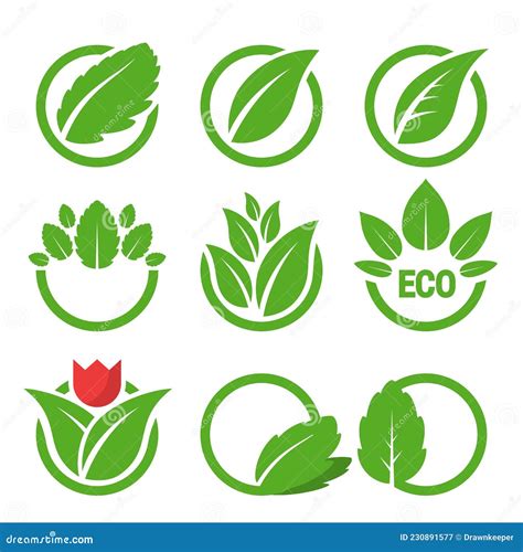 Green Leaves And Ecological Symbols Vector Illustration Stock Vector