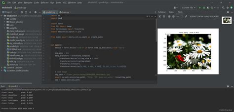 配置Pytorch深度学习环境极其详细教程解释按钮和命令 慈云数据