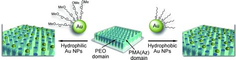 Site‐specific Recognition Of Nanophase‐separated Surfaces Of Amphiphilic Block Copolymers By