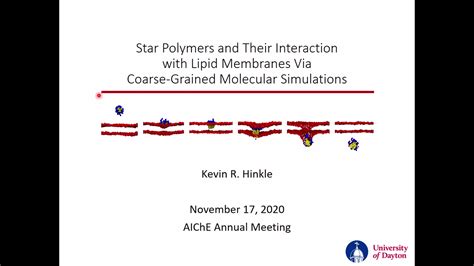Star Polymers And Their Interaction With Lipid Membranes Via Coarse Grained Molecular
