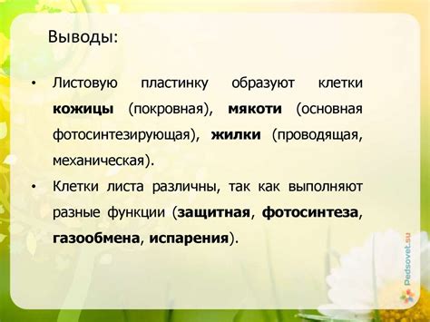Внешнее и внутреннее строение листа презентация онлайн