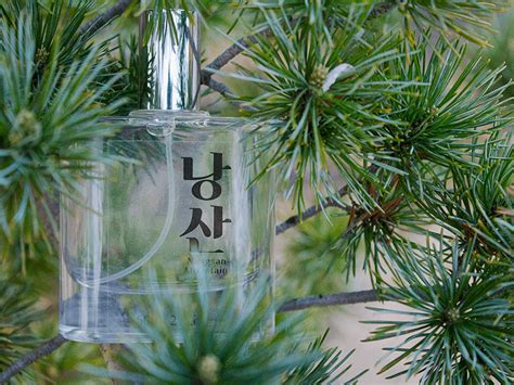 낭산에 내려앉은 구름의 향 신들이 노니는 산 낭산 텀블벅 크리에이터를 위한 크라우드펀딩