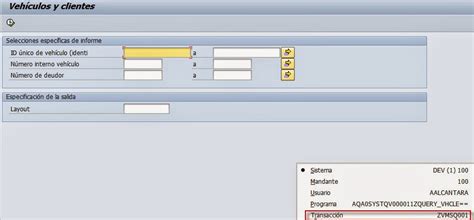 Cómo Crear Tcode Para Query Creada Desde La Sqvi