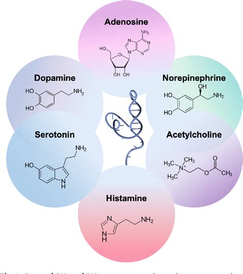 Figure 1 From Aptamer Modified Biosensors To Visualize Neurotransmitter