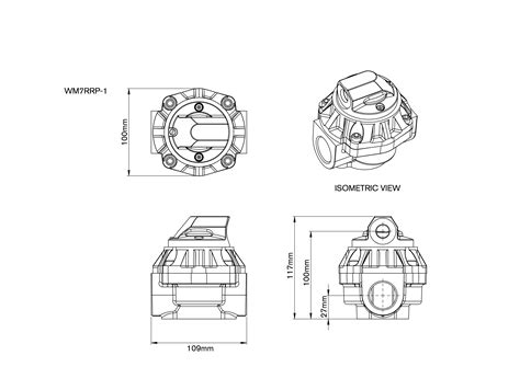 Flowmeter Wm Series1bsp Nmi Approved Special Assembly Incorp