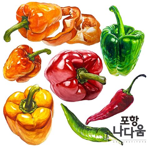 피망 기초디자인 그림 그림 디자인 수채화