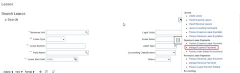 Can We Create A Custom Role In Oracle Leasing To Access Manage Expense