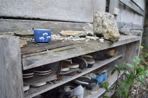 Fukushimas Nuclear Exclusion Zone 7 Years On Social Innovation