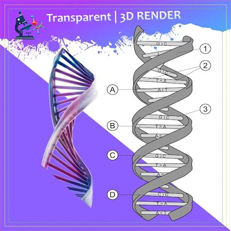 Premium Psd Dna Rna Biochemistry Molecules Structure Protein Nucleic