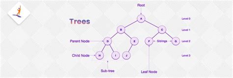 Data Structures The Building Blocks Of Programming