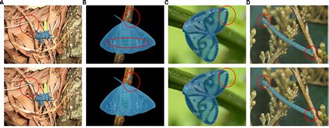 frontiers tp transfiner high quality segmentation network for tea pest
