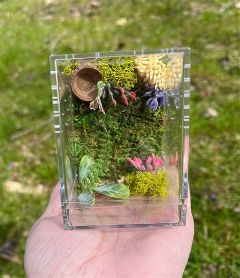 Jumping Spider Or Tarantula Terrarium And Accessory Ideas 🤍🕷️🕸️🖤
