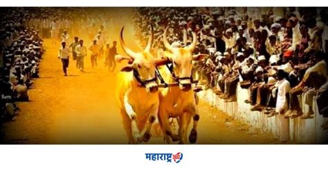 Bailgada Sharyat महाराष्ट्रातील बैलगाडा शर्यतीचे प्रकार 2024