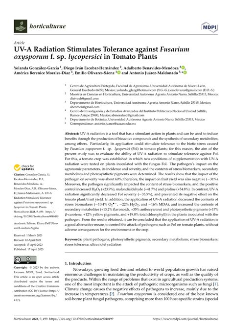 Pdf Uv A Radiation Stimulates Tolerance Against Fusarium Oxysporum F
