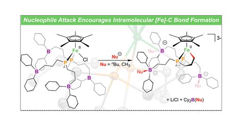 Secondary Coordination Sphere Alkylation Promotes Cyclometalation Inorganic Chemistry