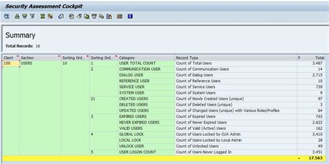 Instant Analysis Of All Your SAP Users From One Unified Screen This