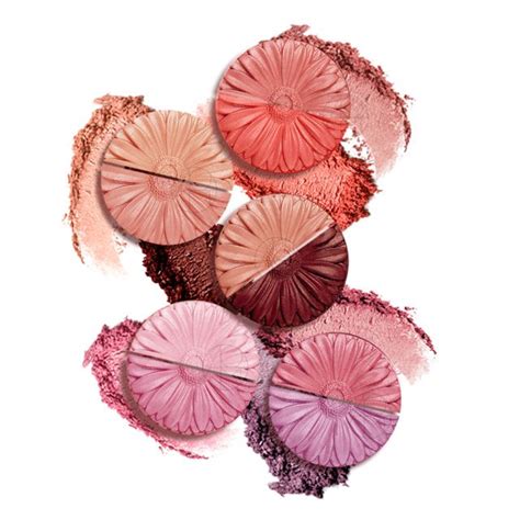 Clinique 倩碧 花漾腮紅35g 多色可選 Pchome 24h購物