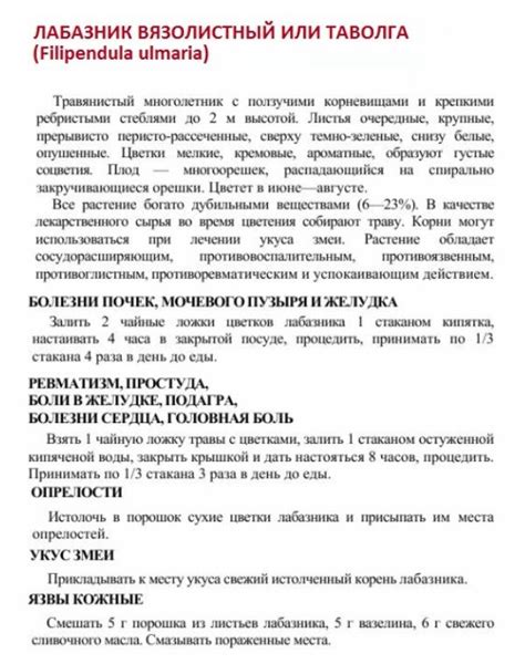 Лабазник вязолистный или таволга | Фитотерапия, Товары для здоровья ...