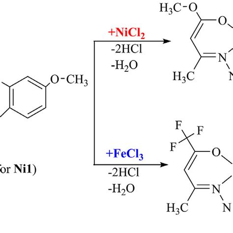 Synthesis Scheme Of The Complexes Download Scientific Diagram