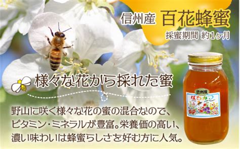 信州産蜂蜜 百花 12kg はちみつ 国産 1200g｜ 国産 百花 12kg 純粋はちみつ ハチミツ はちみつ 蜂蜜 ハニー 百花蜜